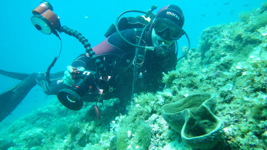 PADI DIVING COURSES Scuba Diving Split | Venus Diving Center