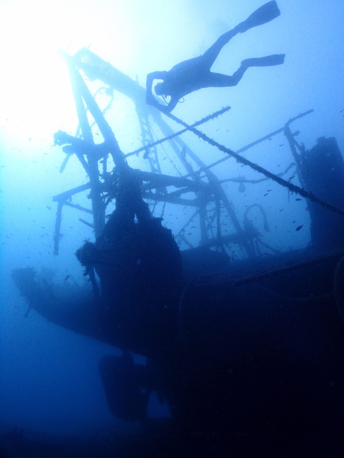 Venus Diving Centar - Padi 5 Star Dive Resort - Scuba Diving in Split