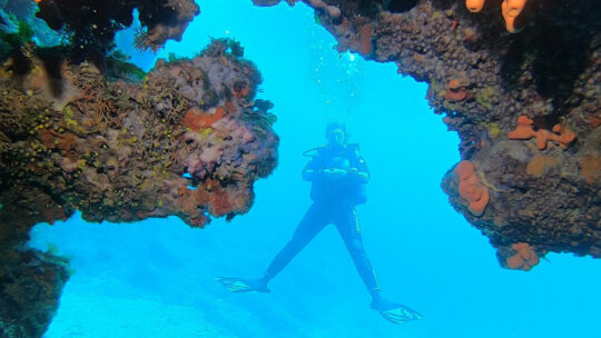 Venus Diving Centar - Scuba Diving in Split - More than 40 diving sites
