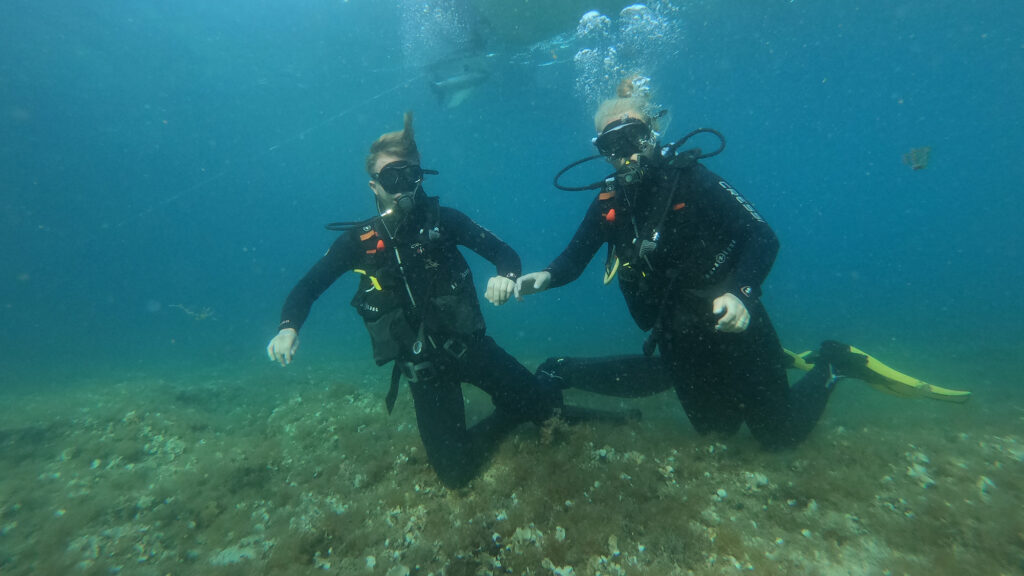 TRY DIVE EXPERIENCE - Scuba Diving Split | Venus Diving Center