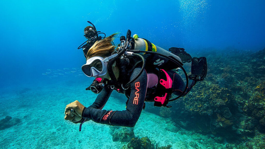 Venus Diving Centar - Padi 5 Star Dive Resort - Scuba Diving in Split